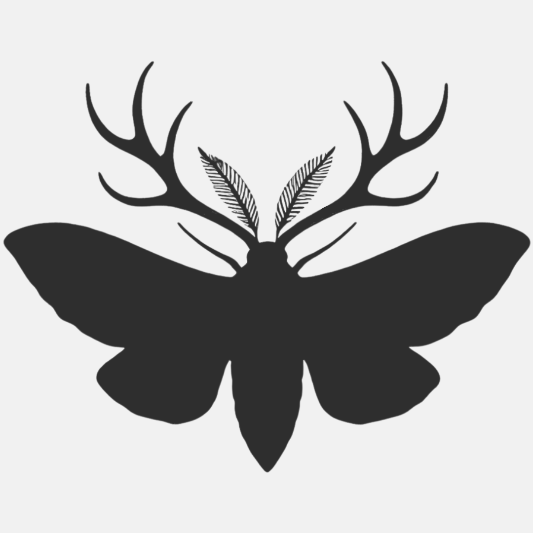 About Us – Emberlight Archives